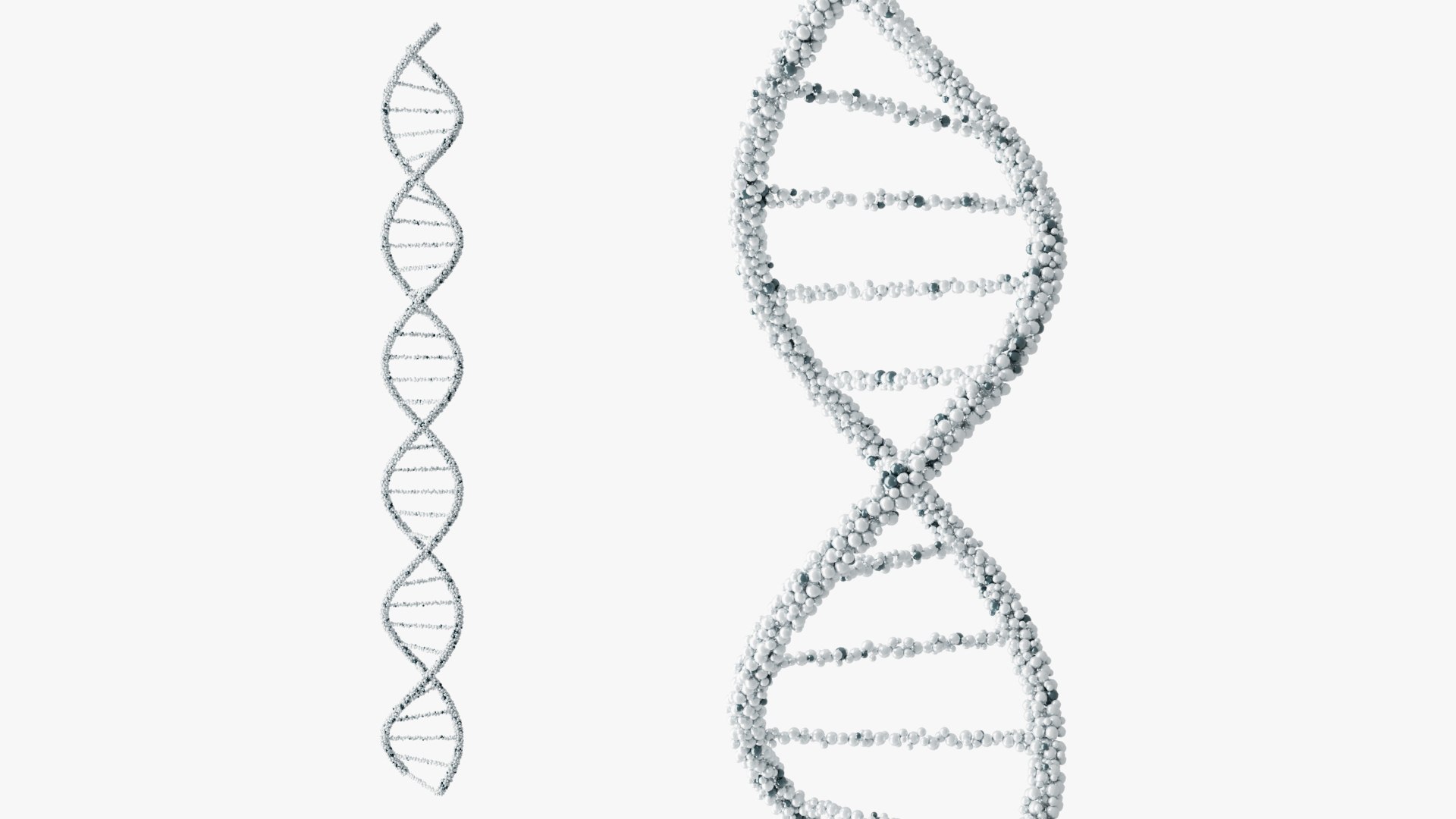 DNA Balls 3D Model - TurboSquid 2240014