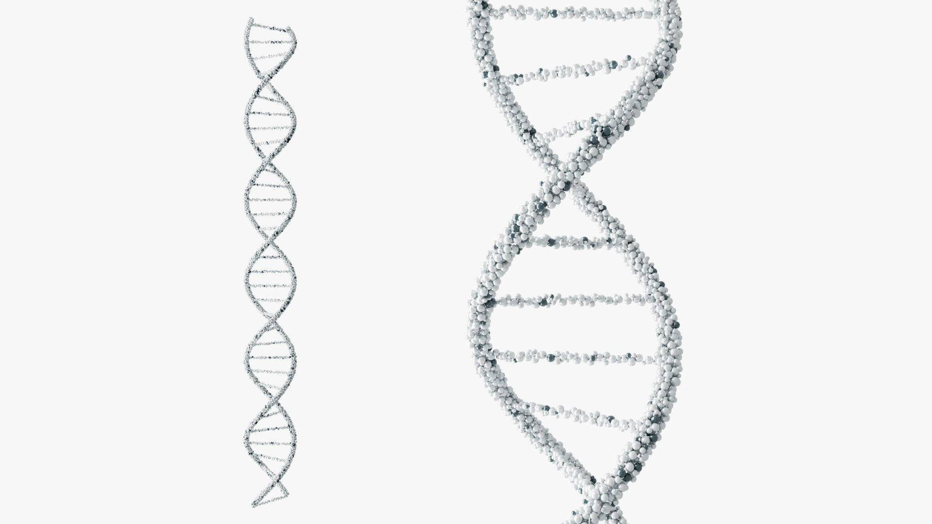 DNA Balls 3D Model - TurboSquid 2240014