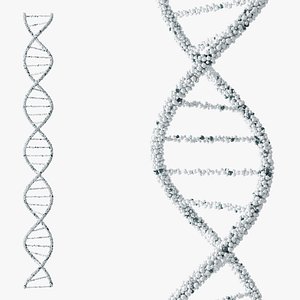 DNA 3D Models for Download | TurboSquid
