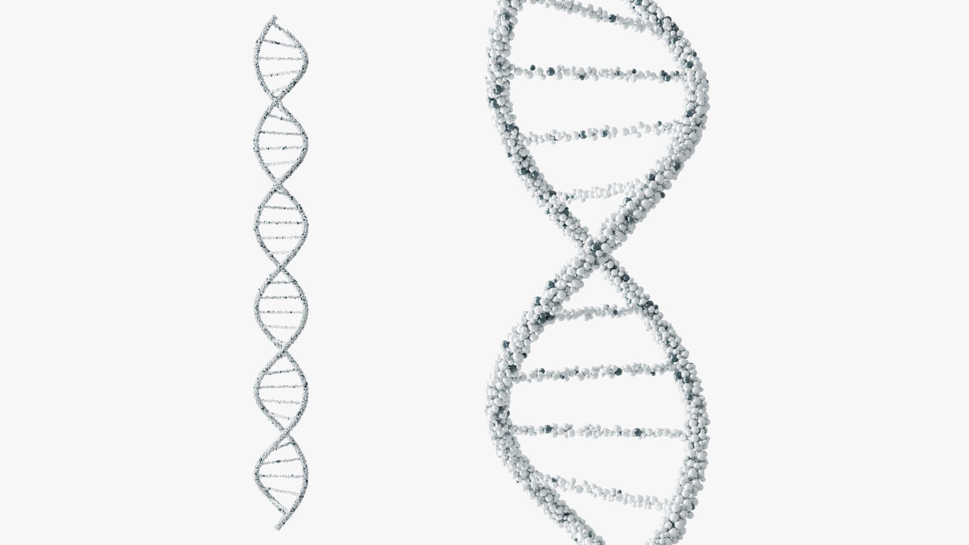 DNA Balls 3D Model - TurboSquid 2240014