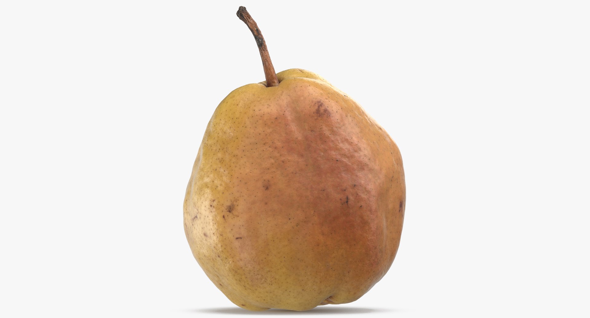 Comice pears 02 3D model - TurboSquid 1464048