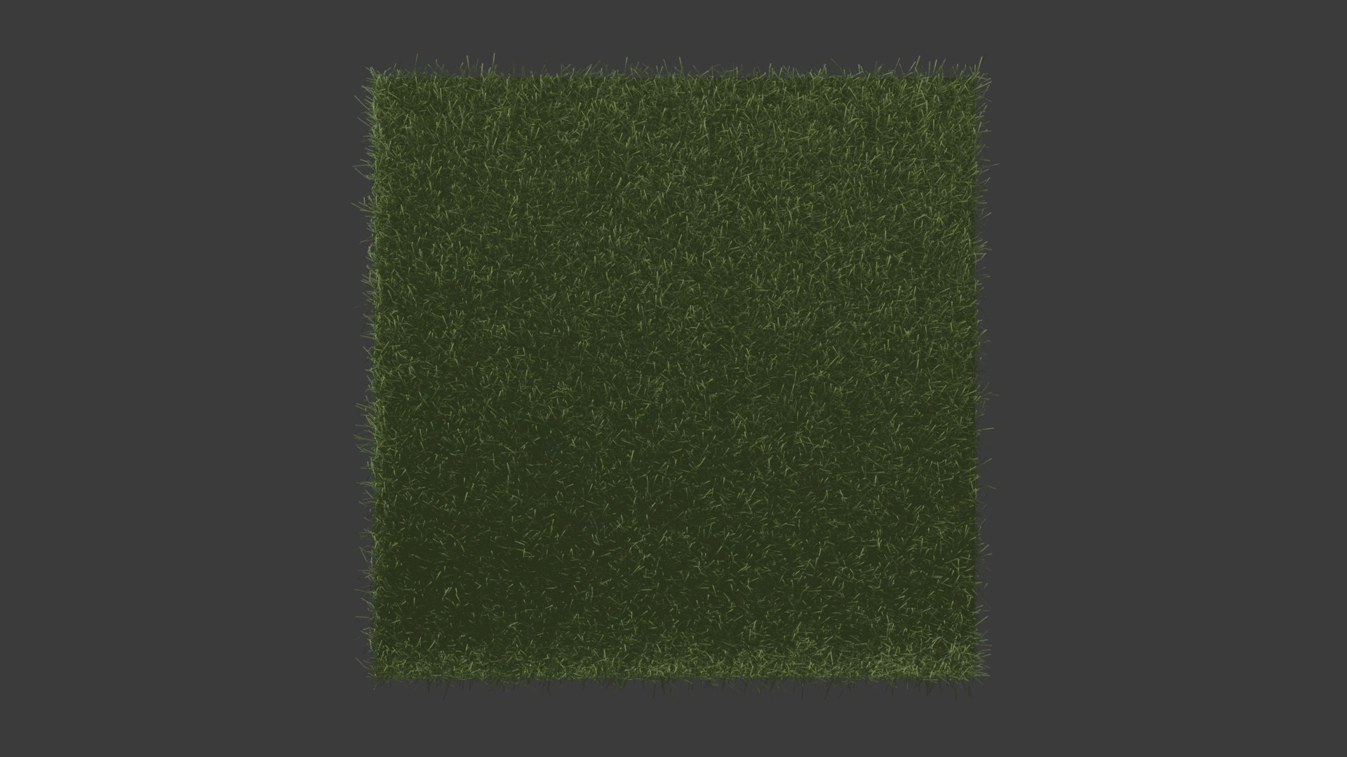 Grass Patch 3D Model - TurboSquid 2313750