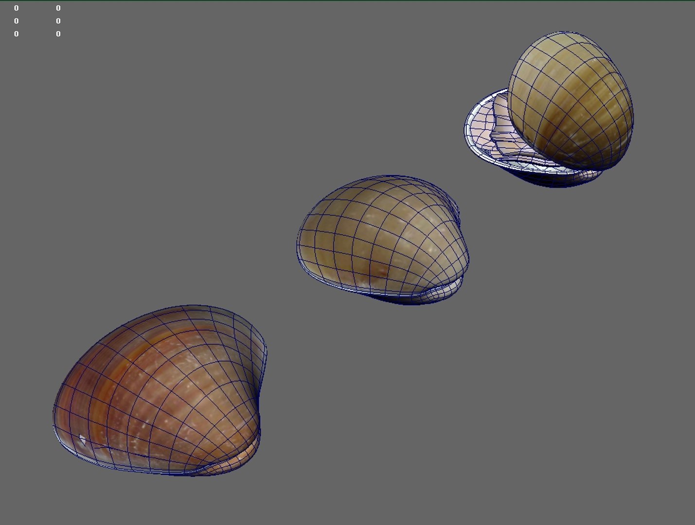 Clam X