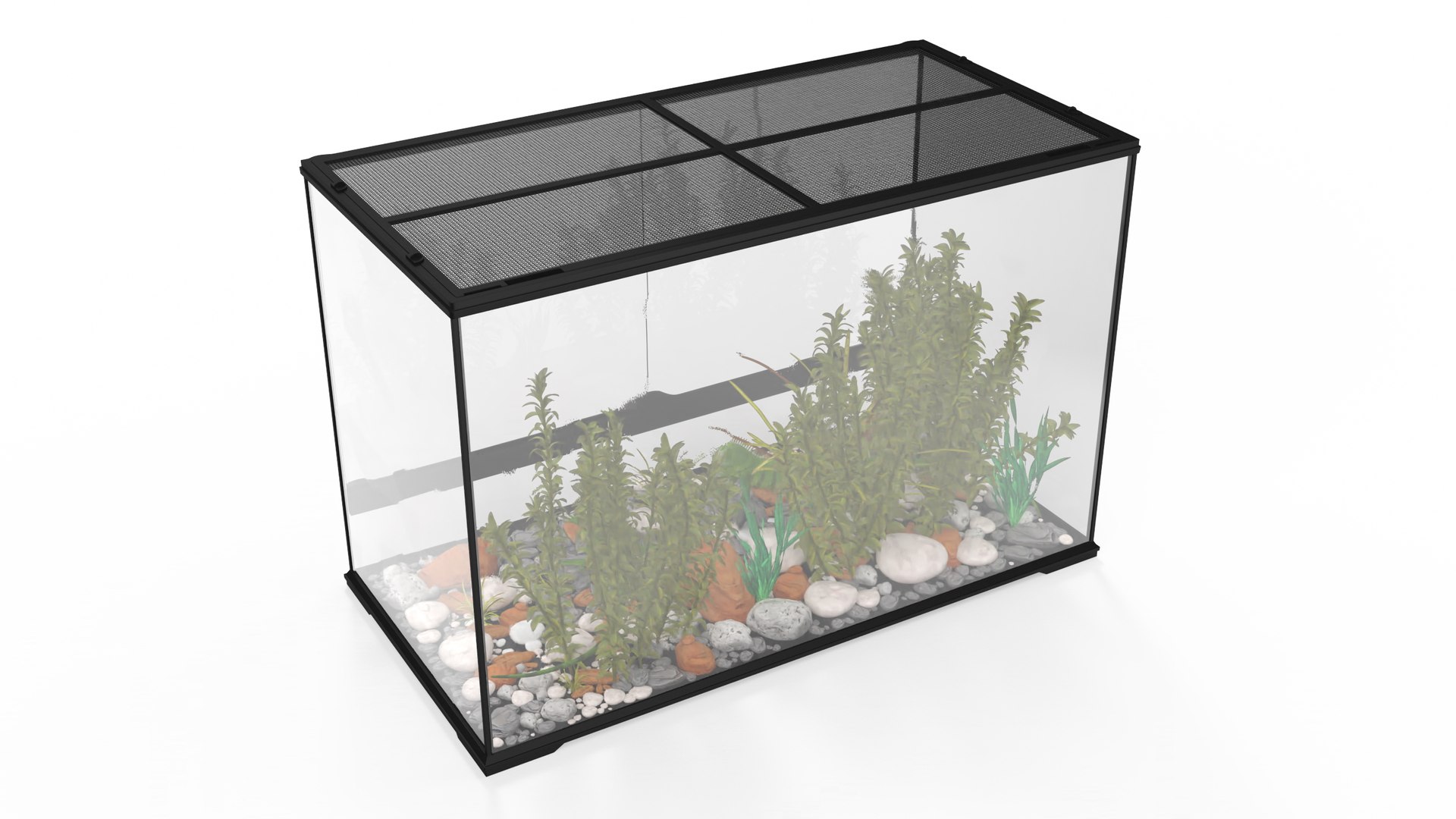 3D Large Terrarium With Plants Garden And Two Iguanas Model ...