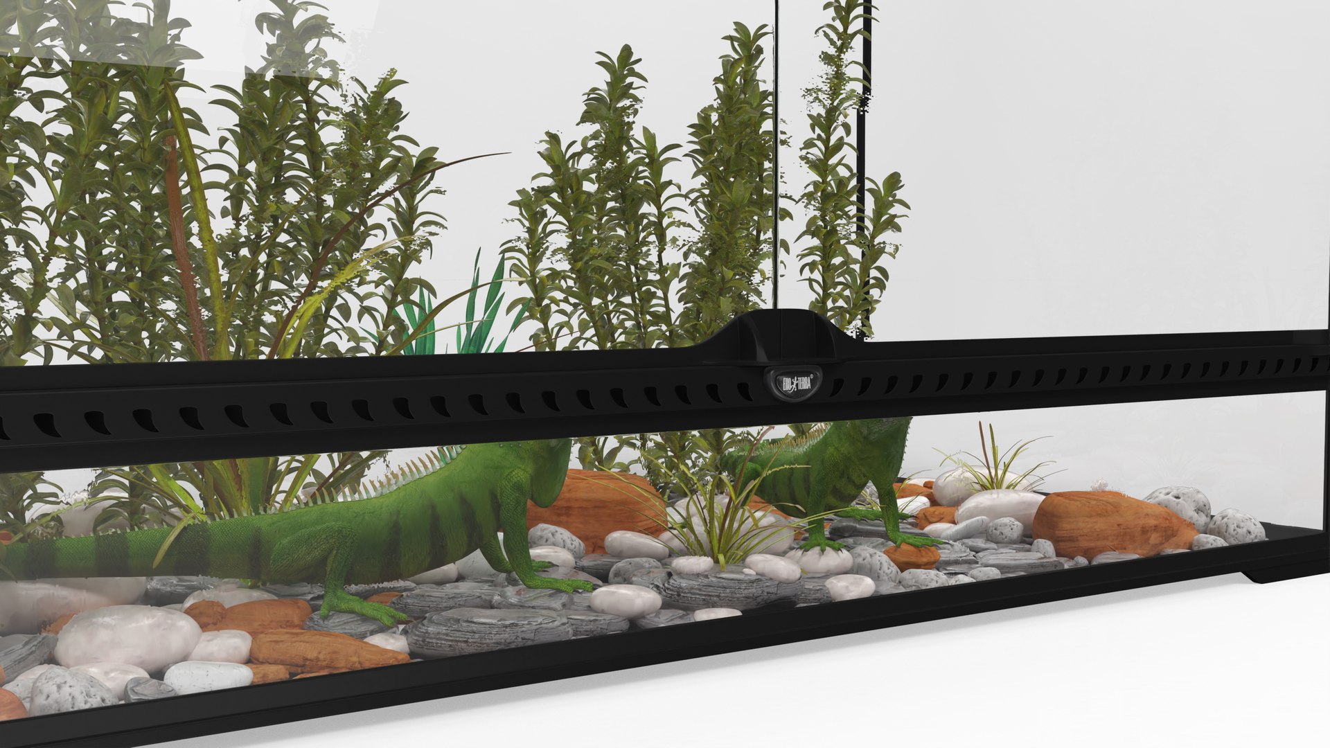 3D Large Terrarium With Plants Garden And Two Iguanas Model ...