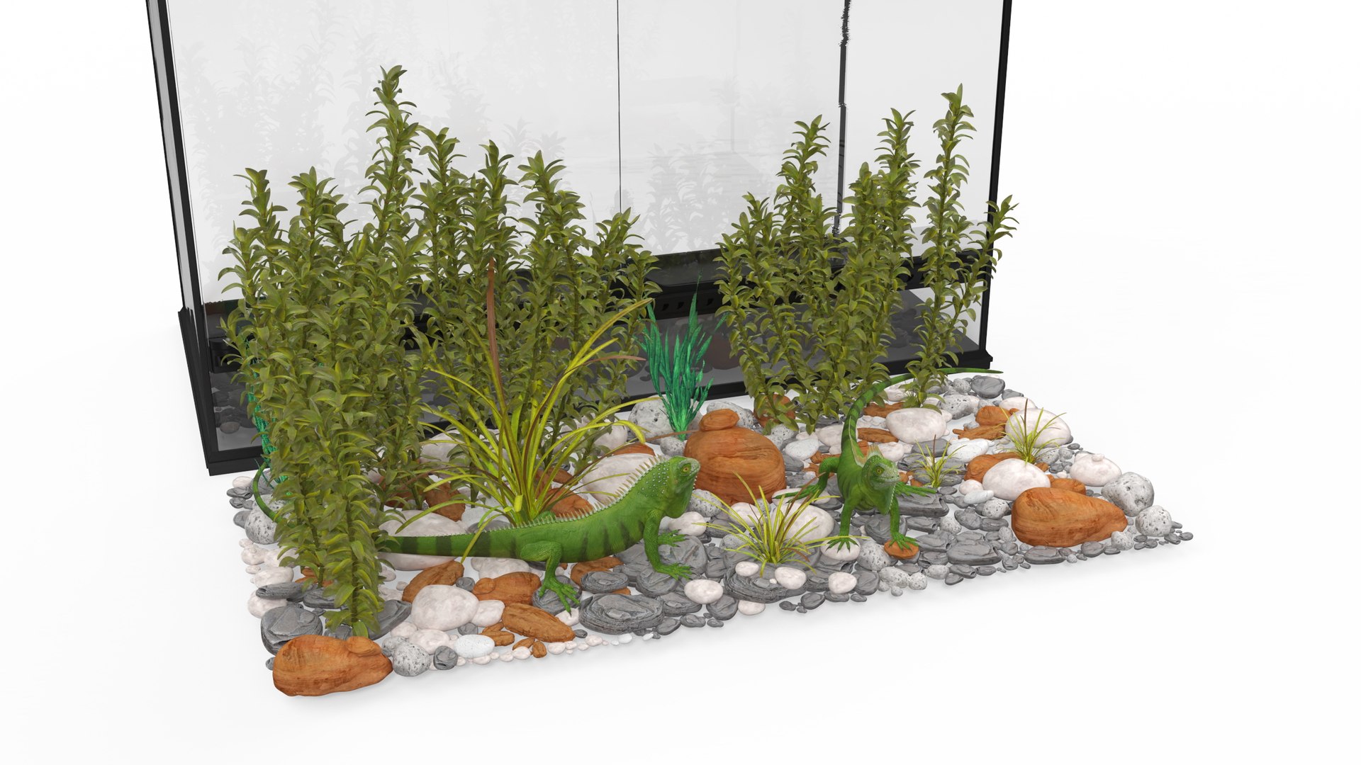3D Large Terrarium With Plants Garden And Two Iguanas Model ...