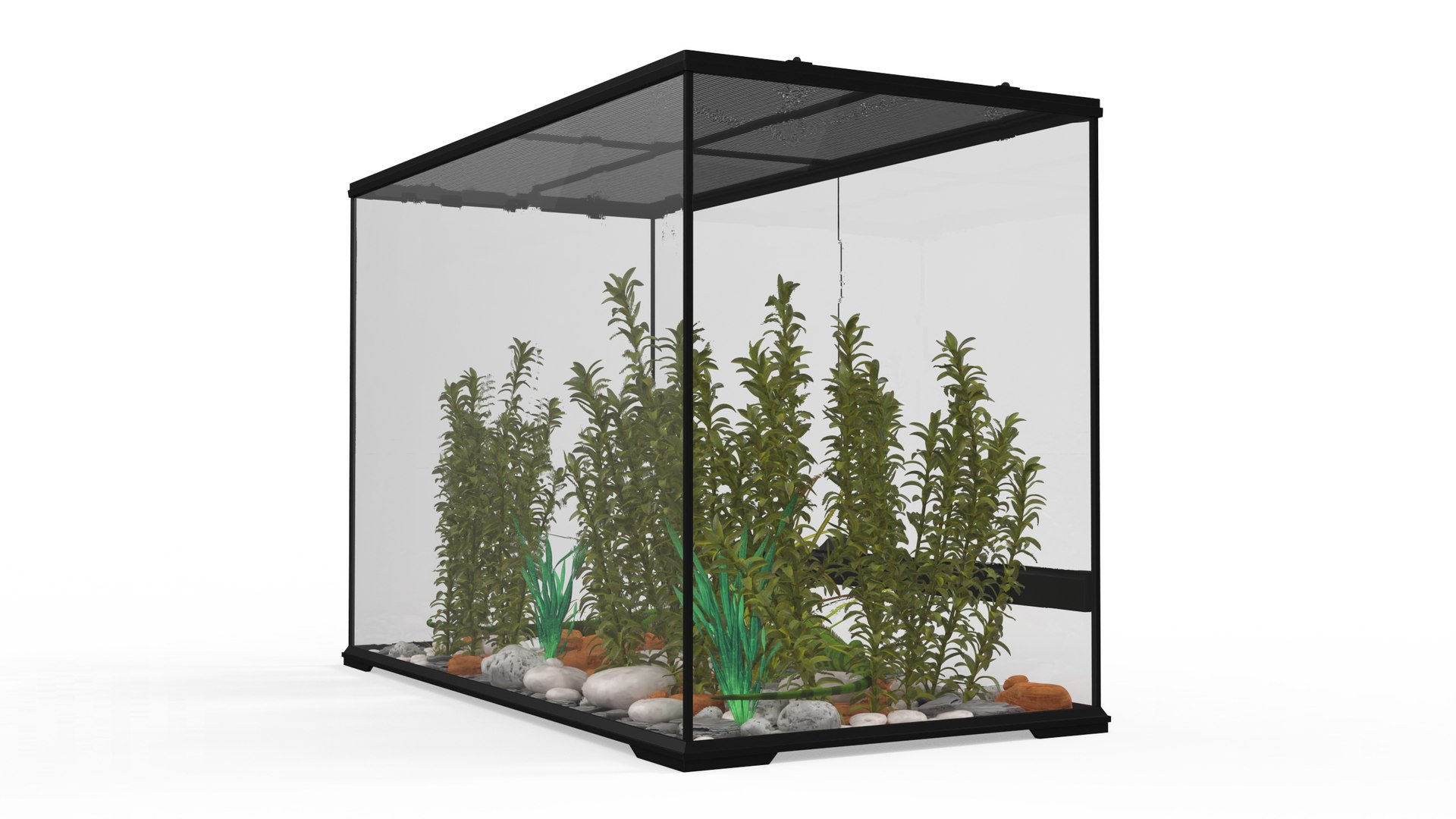 3D Large Terrarium With Plants Garden And Two Iguanas Model ...