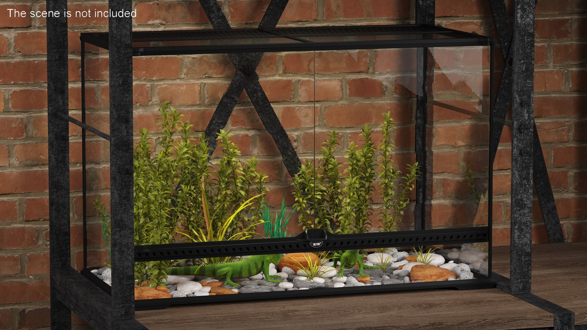 3D Large Terrarium With Plants Garden And Two Iguanas Model ...