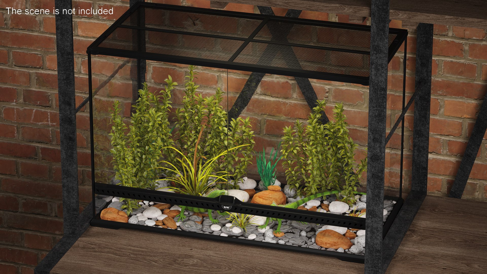 3D Large Terrarium With Plants Garden And Two Iguanas Model ...