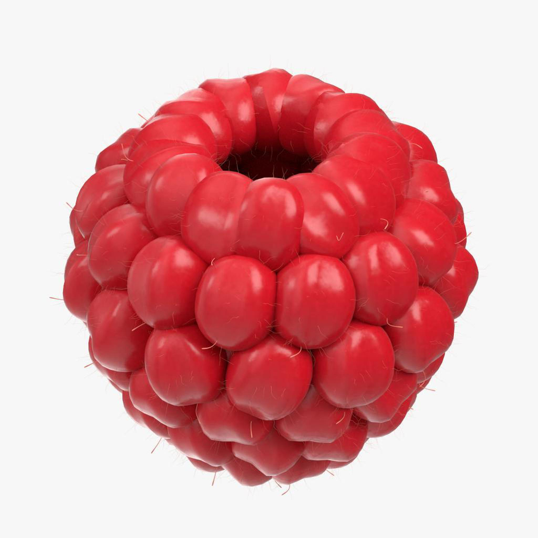 Raspberry Ready 3D Model - TurboSquid 1486958