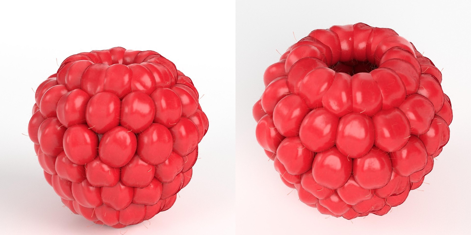 Raspberry Ready 3D Model - TurboSquid 1486958