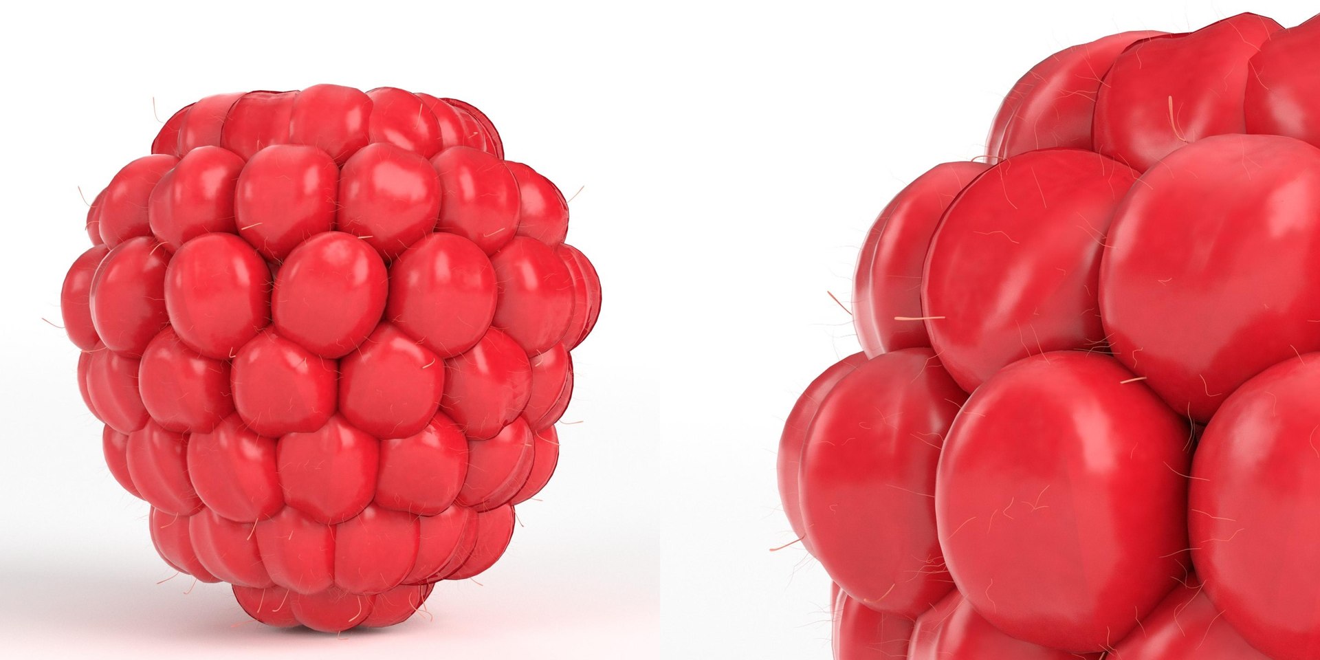 Raspberry Ready 3D Model - TurboSquid 1486958