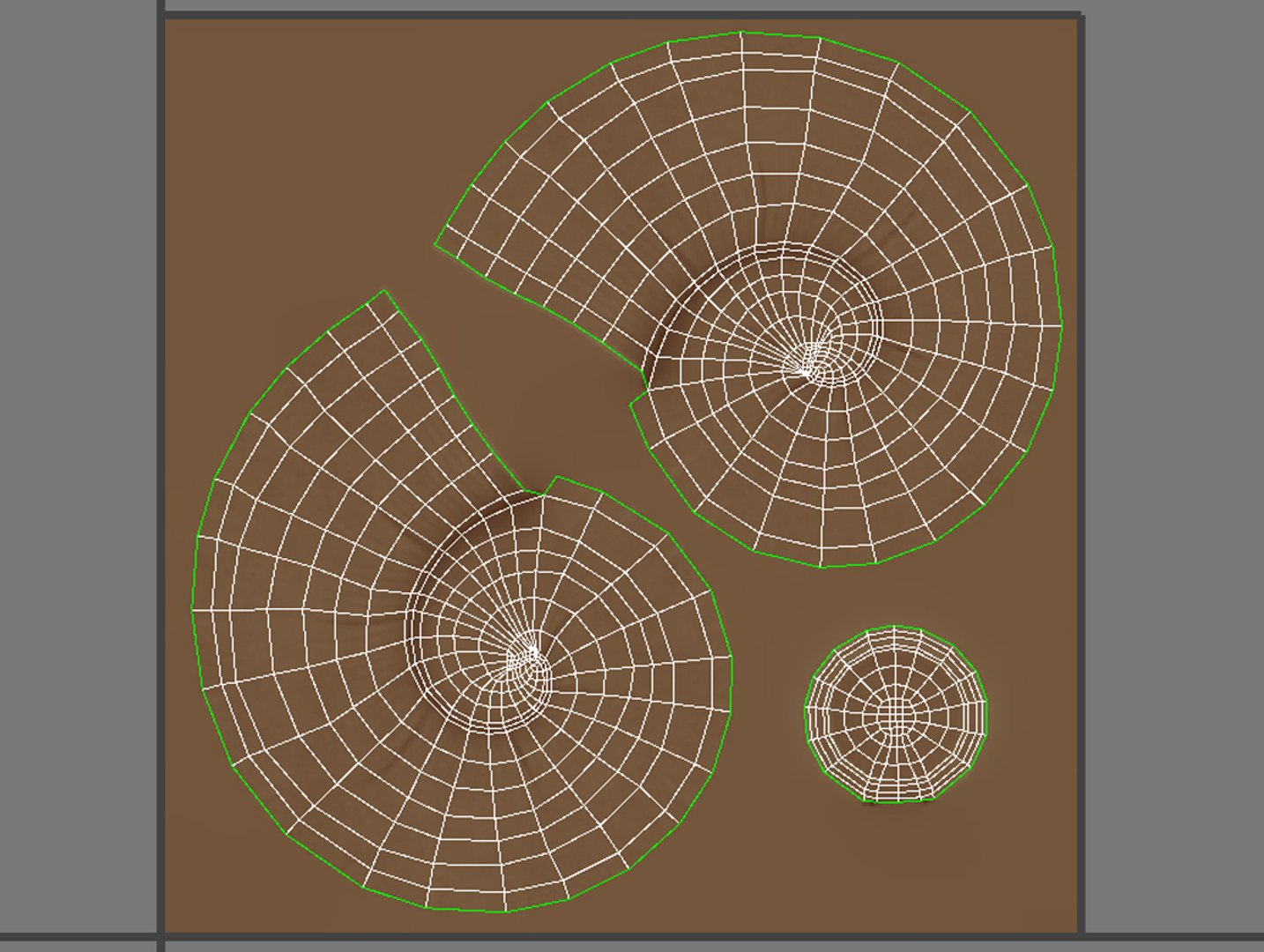 3D model ammonite animal - TurboSquid 1479963