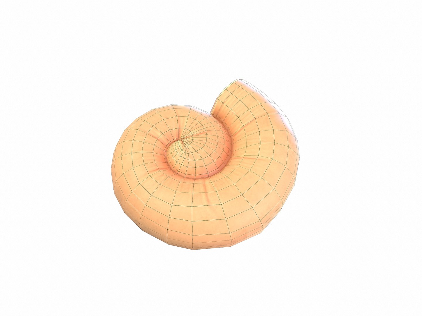 3D model ammonite animal - TurboSquid 1479963