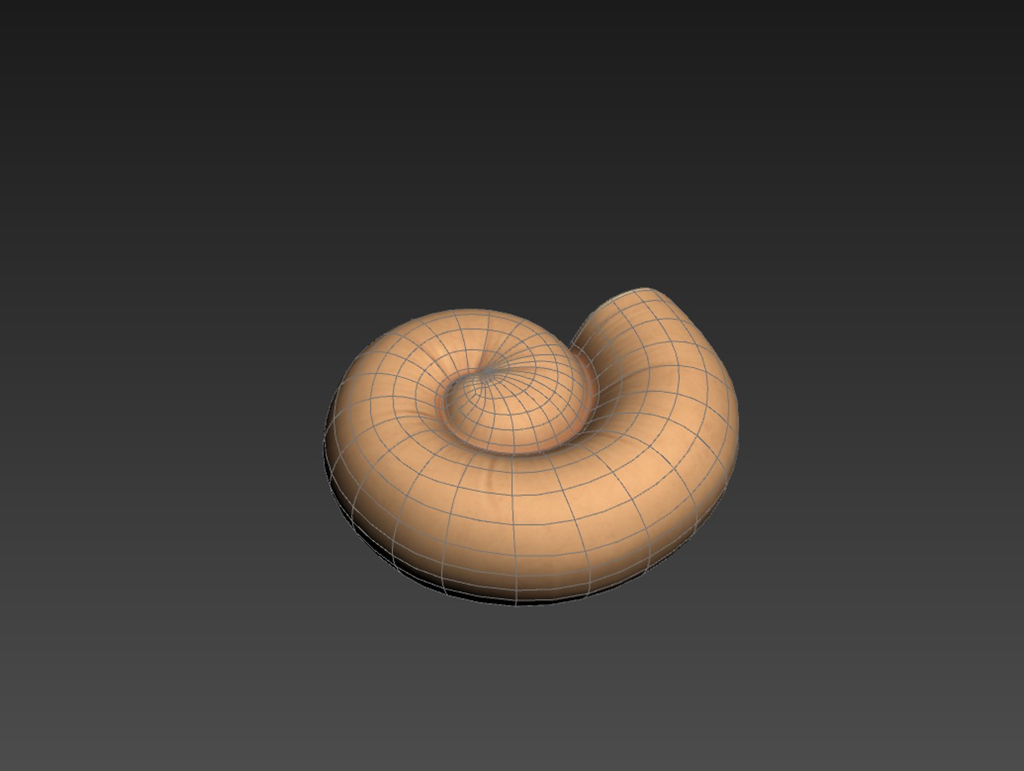 3D model ammonite animal - TurboSquid 1479963