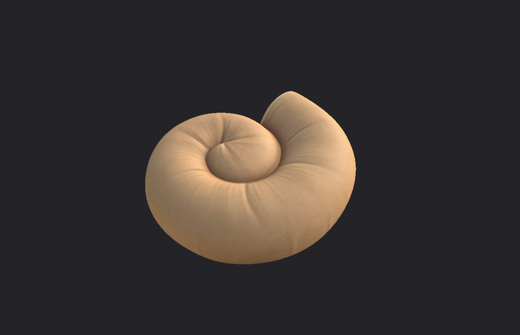 3D model ammonite animal - TurboSquid 1479963
