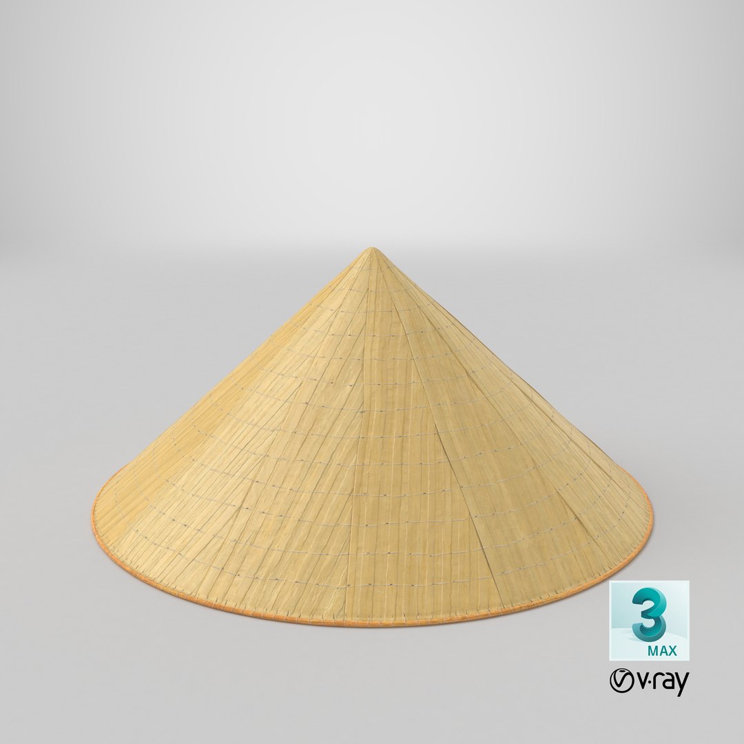 3D Vietcong-rice-hat---on-ground - TurboSquid 1160455