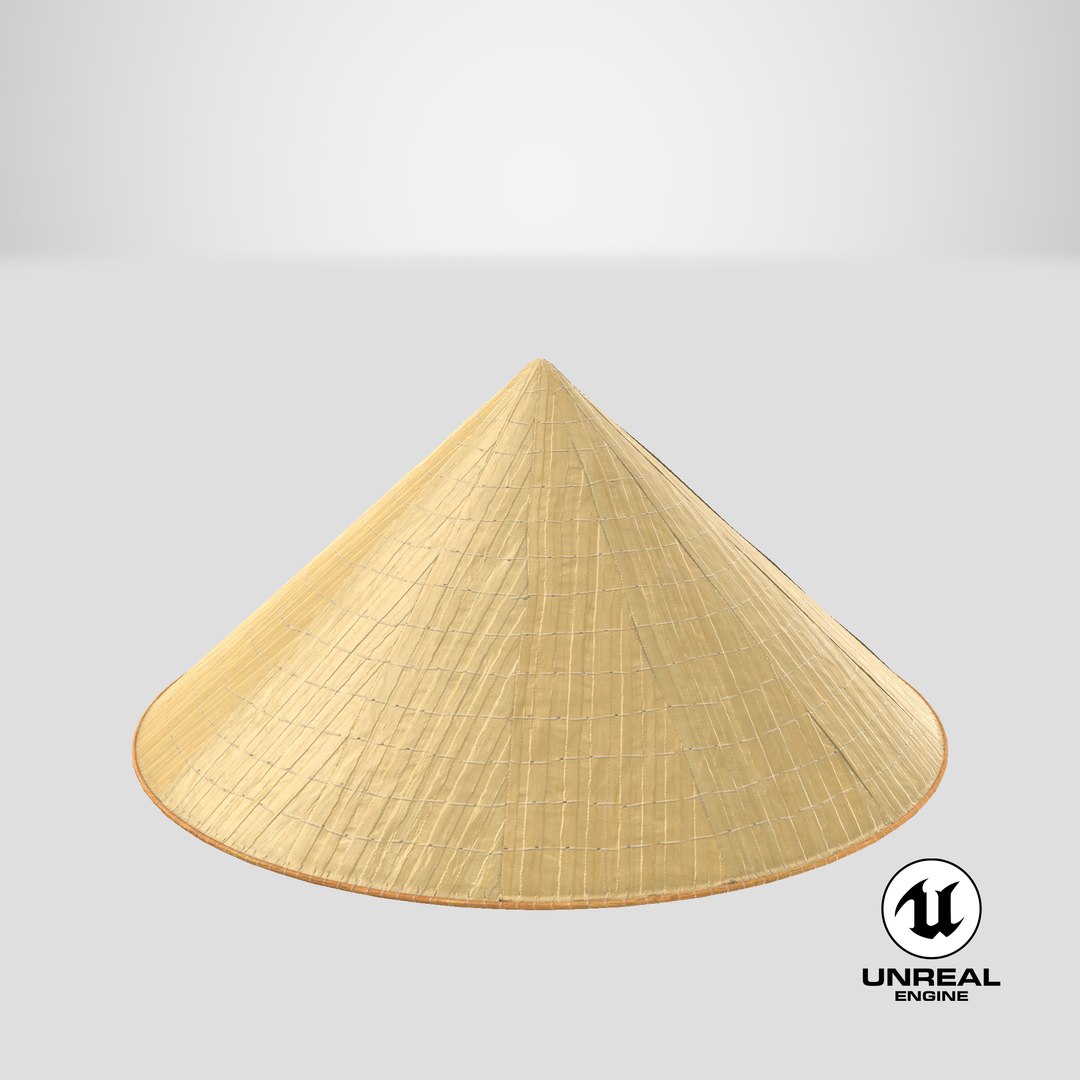 3D Vietcong-rice-hat---on-ground - TurboSquid 1160455