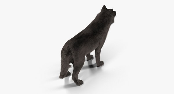 3d model wolf black
