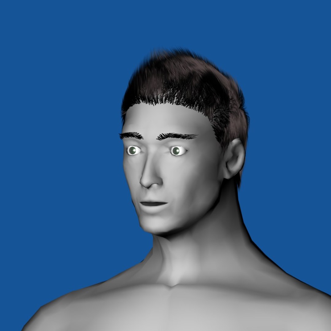 Base Human Male Body 3d Model