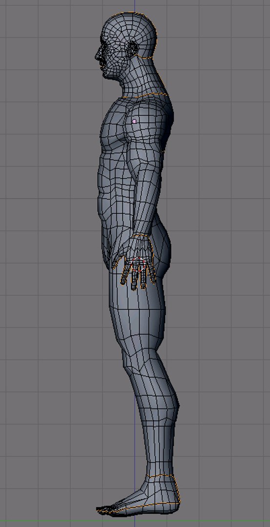 Base Human Male Body 3d Model