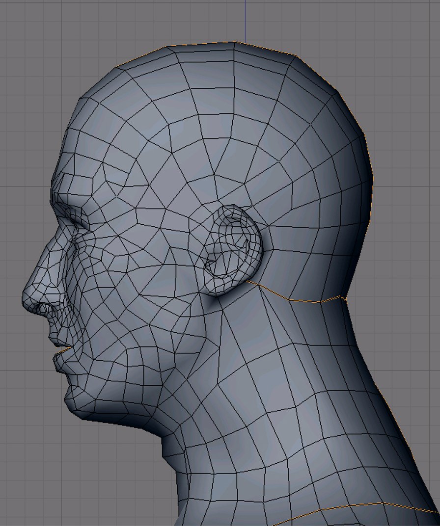 Base Human Male Body 3d Model