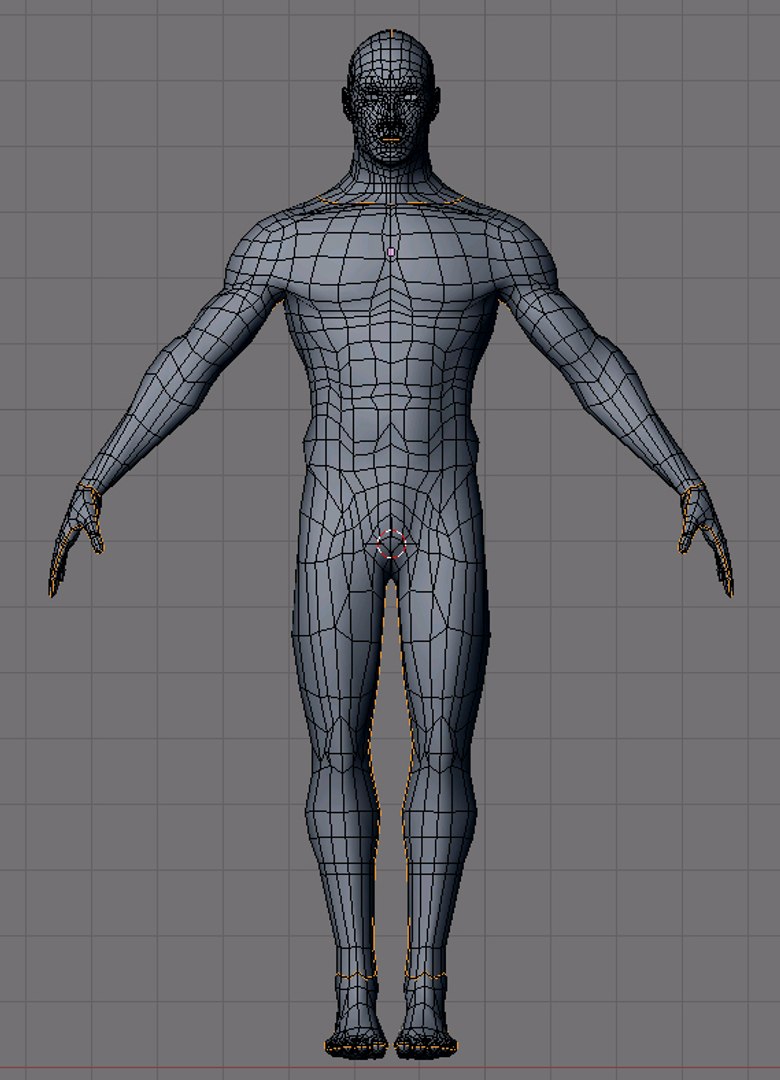 Base Human Male Body 3d Model