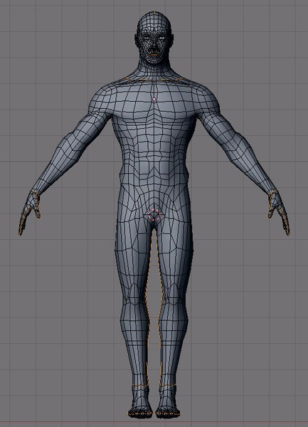 base human male body 3d model