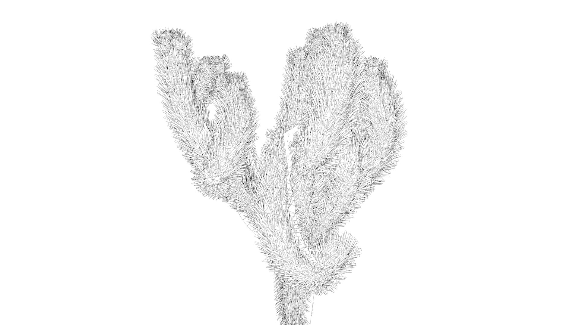 3D Cholla Cactus Plant - 04 - - TurboSquid 2371927