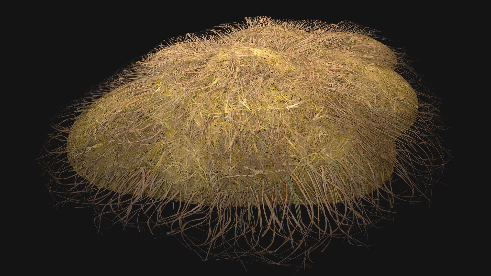 3D Haystack And Straw On Earth - TurboSquid 2204205