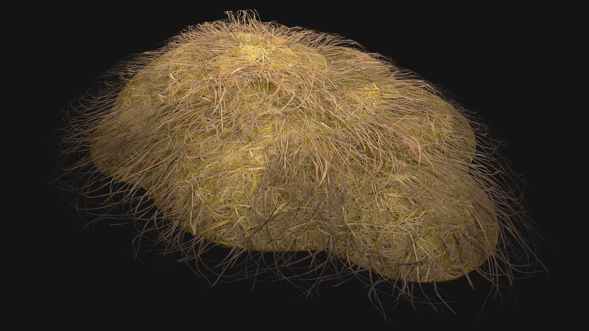 3D Haystack And Straw On Earth - TurboSquid 2204205