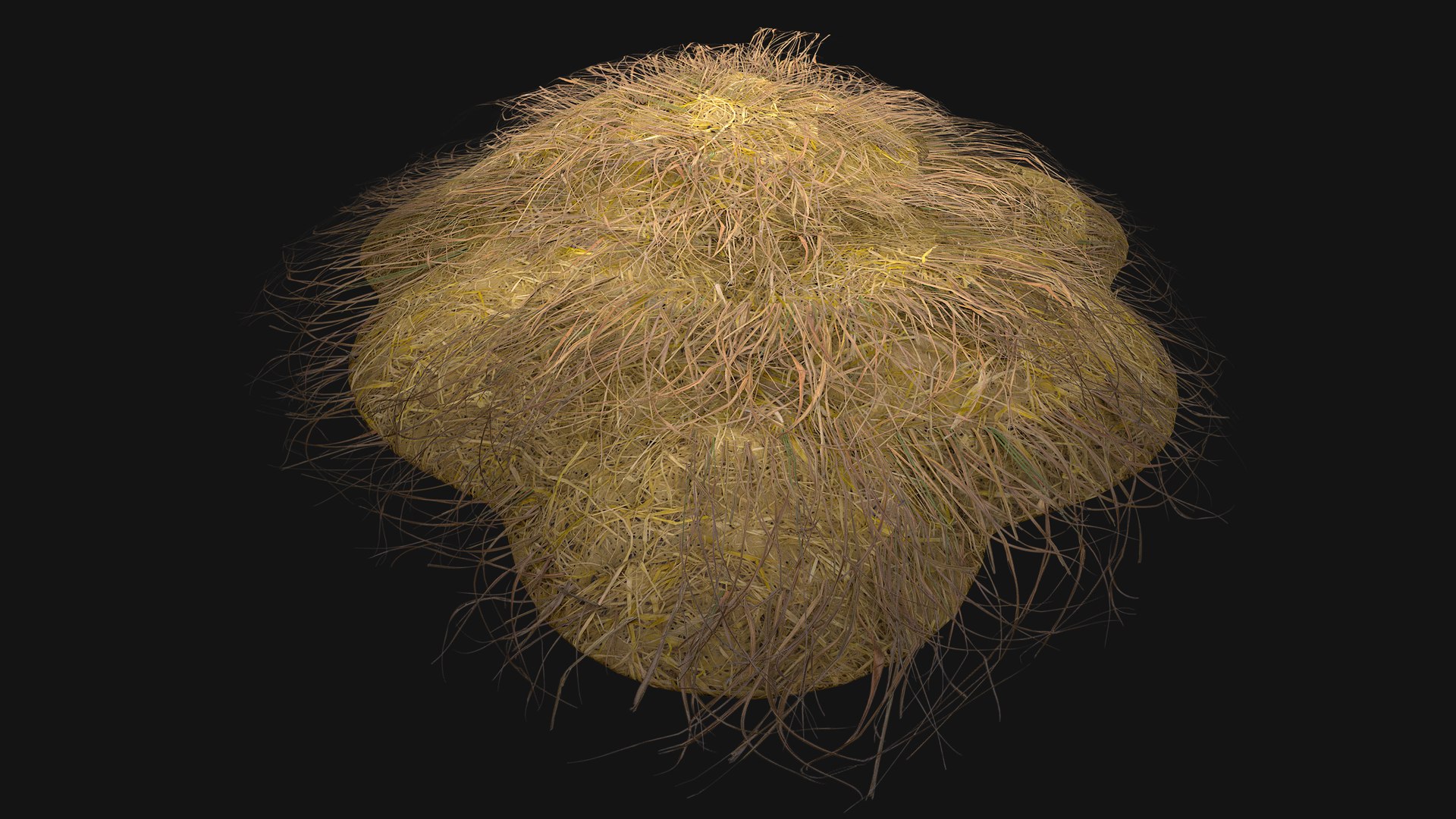 3D Haystack And Straw On Earth - TurboSquid 2204205