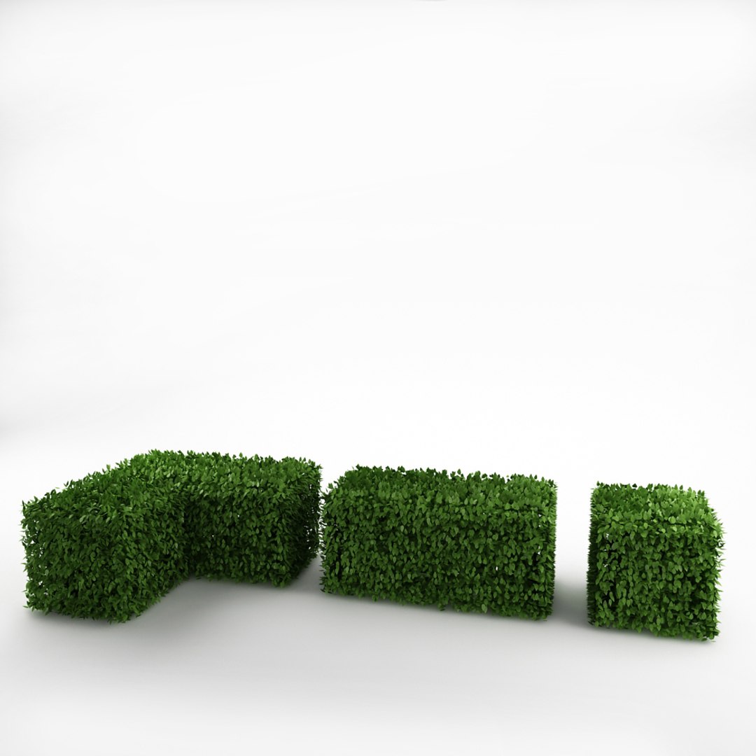 Bushes Leaf 3d Model