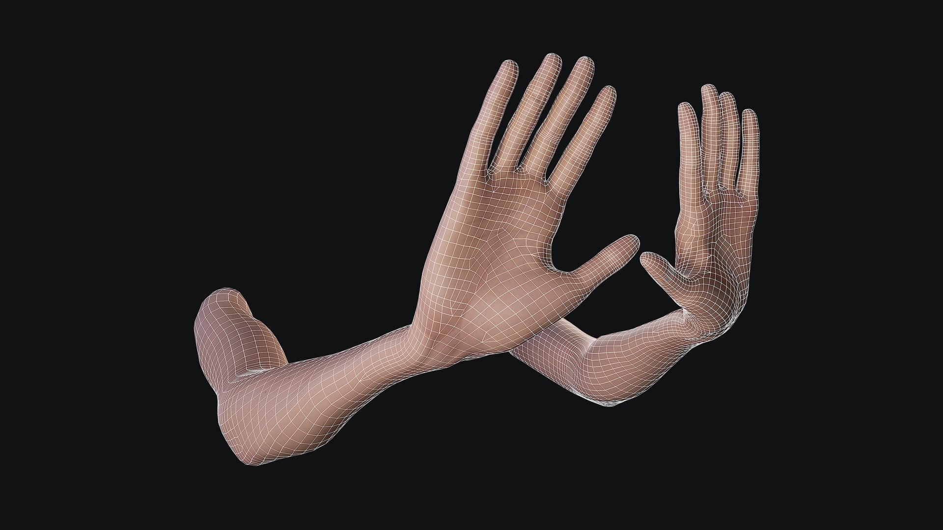 3D female hands - - TurboSquid 1586116