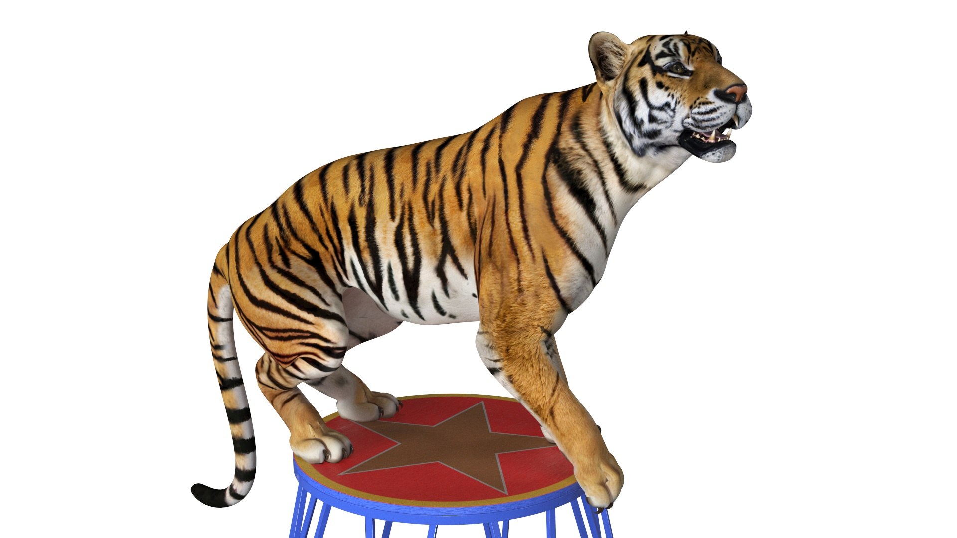 3D Tiger On A Circus Stand Model - TurboSquid 2289943