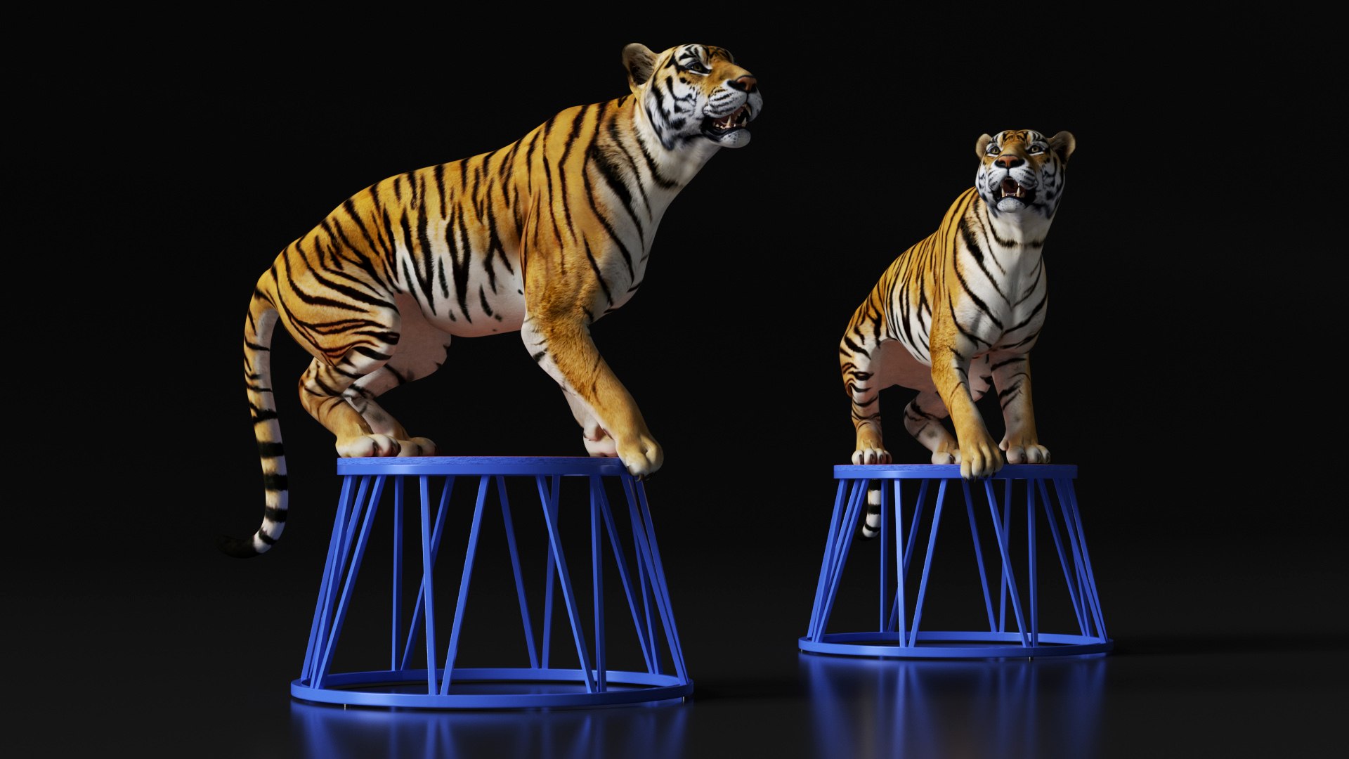 3D Tiger On A Circus Stand Model - TurboSquid 2289943