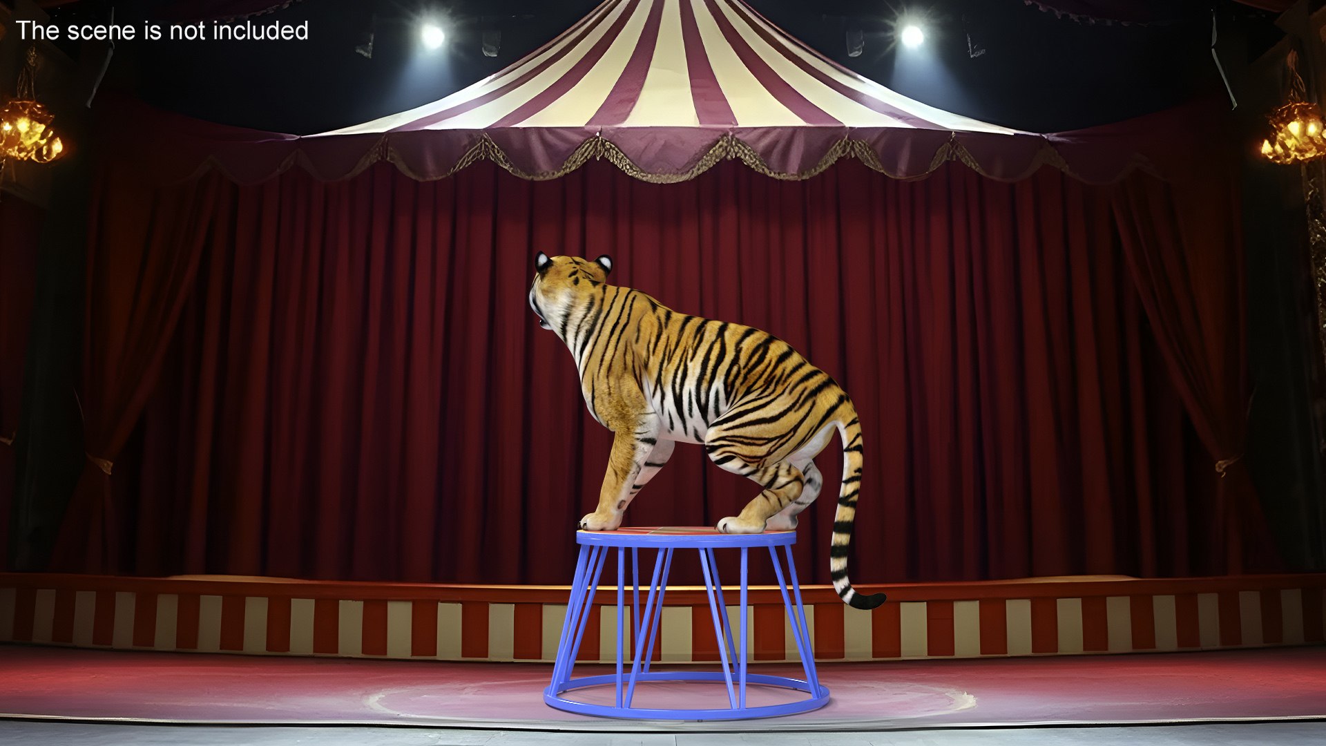 3D Tiger On A Circus Stand Model - TurboSquid 2289943