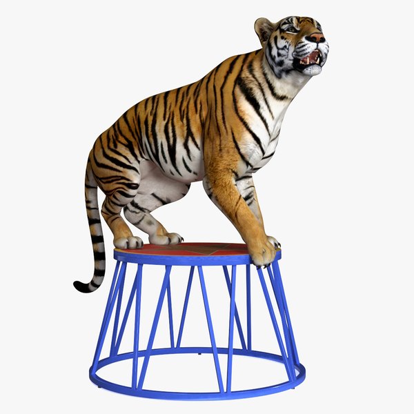 Tiger 3D Models for Download | TurboSquid