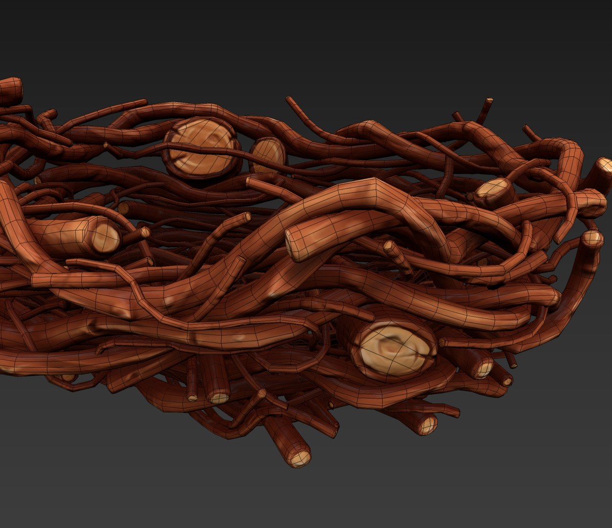 Nest Stylized Cartoon 3D | 1146863 | TurboSquid