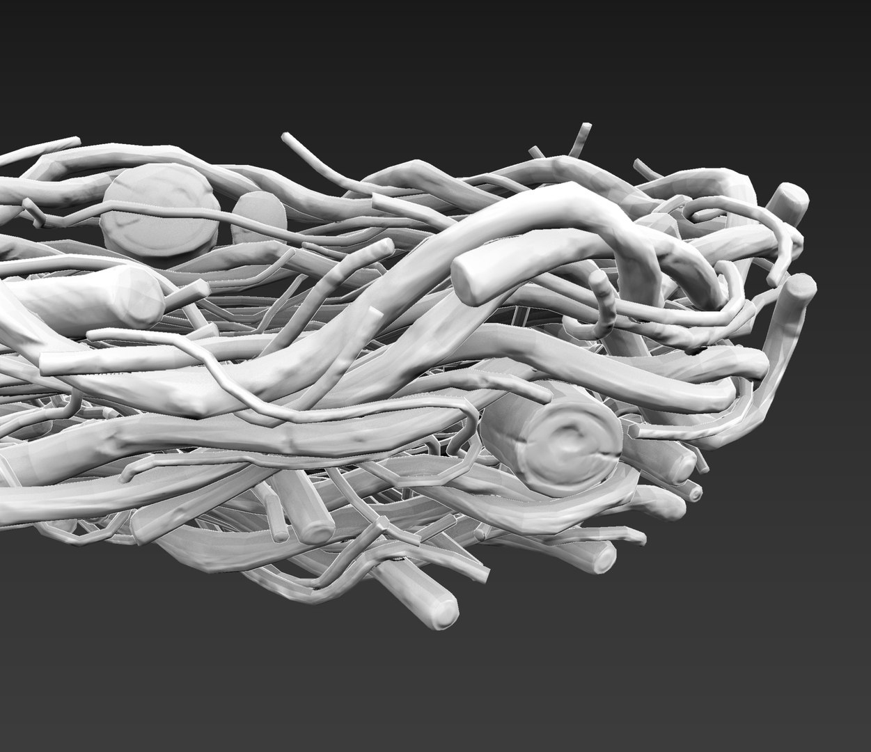 Nest Stylized Cartoon 3D | 1146863 | TurboSquid