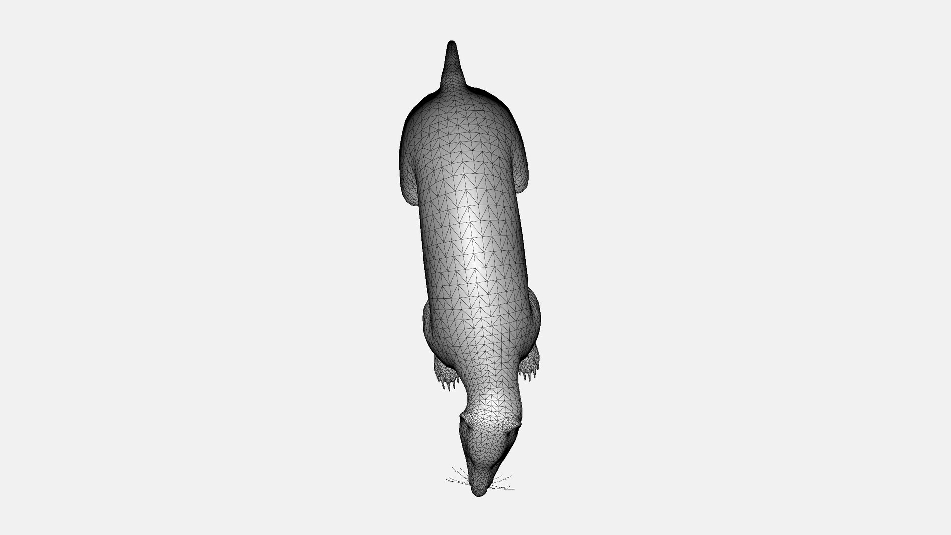 3D Badger - TurboSquid 2303134