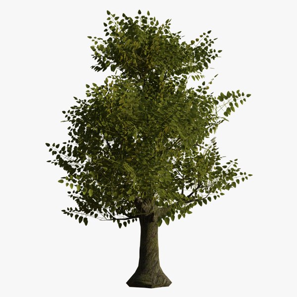 Free Blender Bush Models | TurboSquid