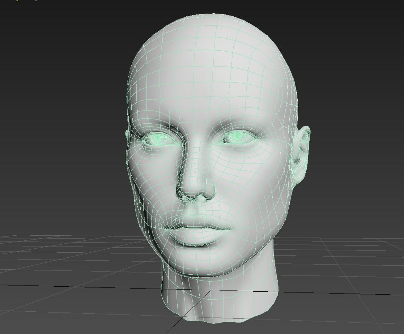 Max Woman Head