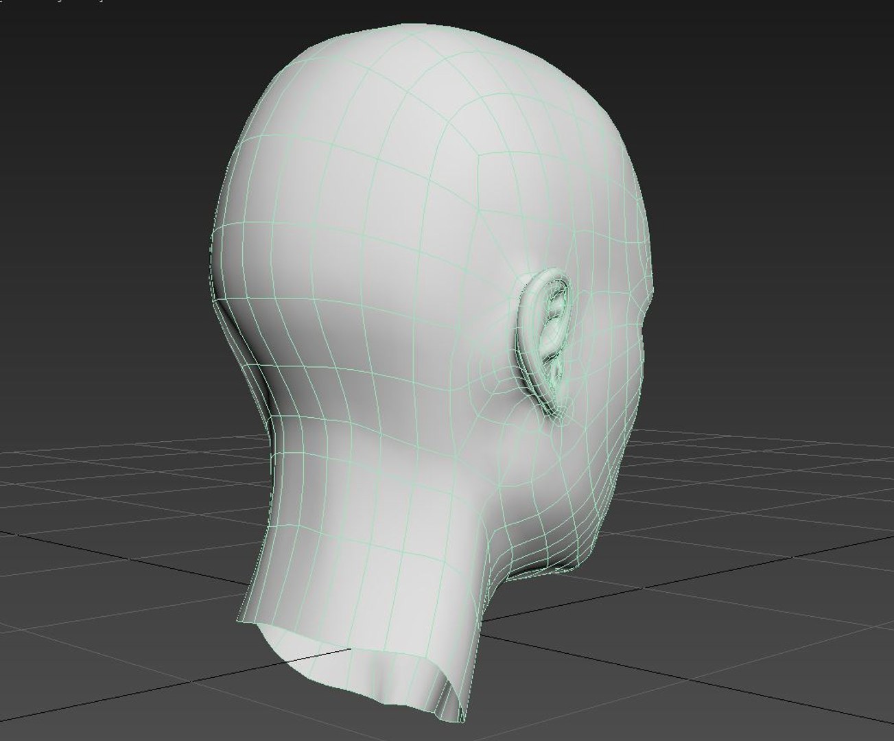 Max Woman Head