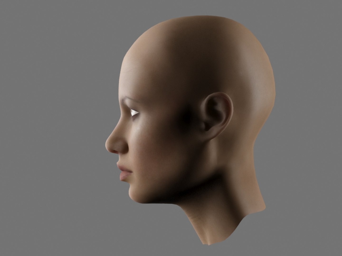 Max Woman Head