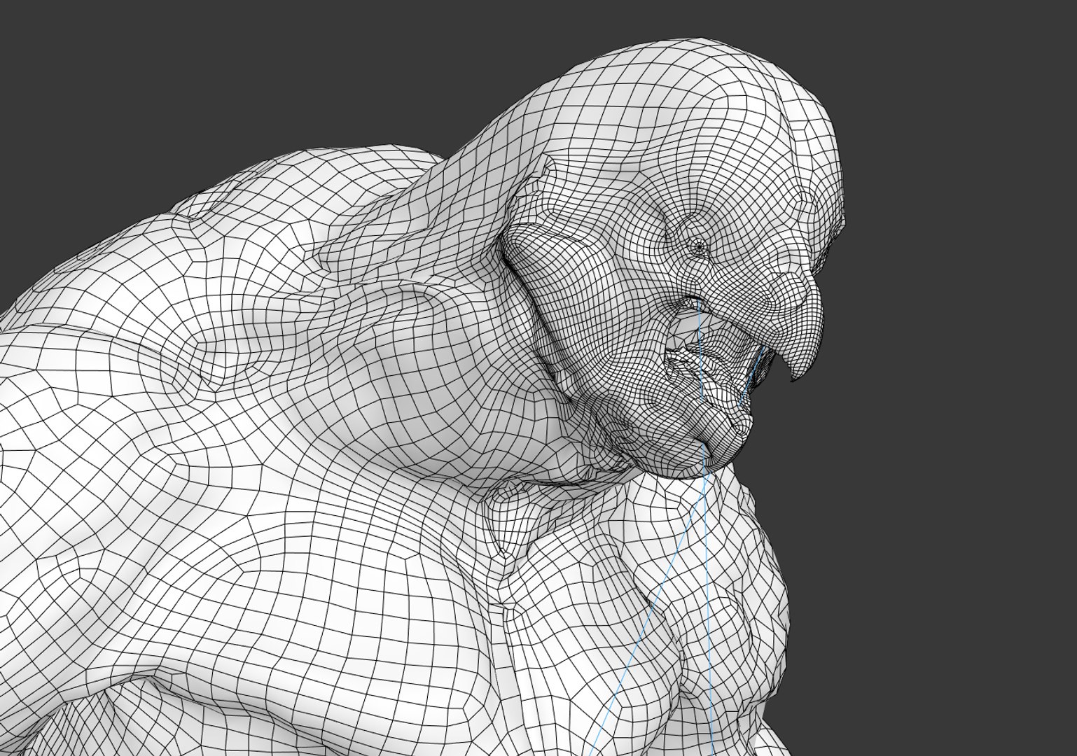 Rigging Skin Model - TurboSquid 1407418