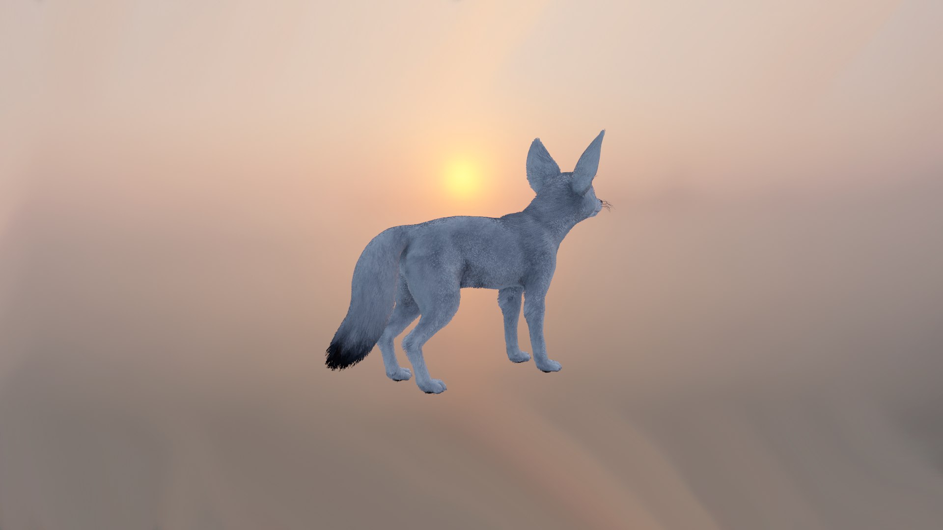 3D Fennec Fox Model - TurboSquid 1872571