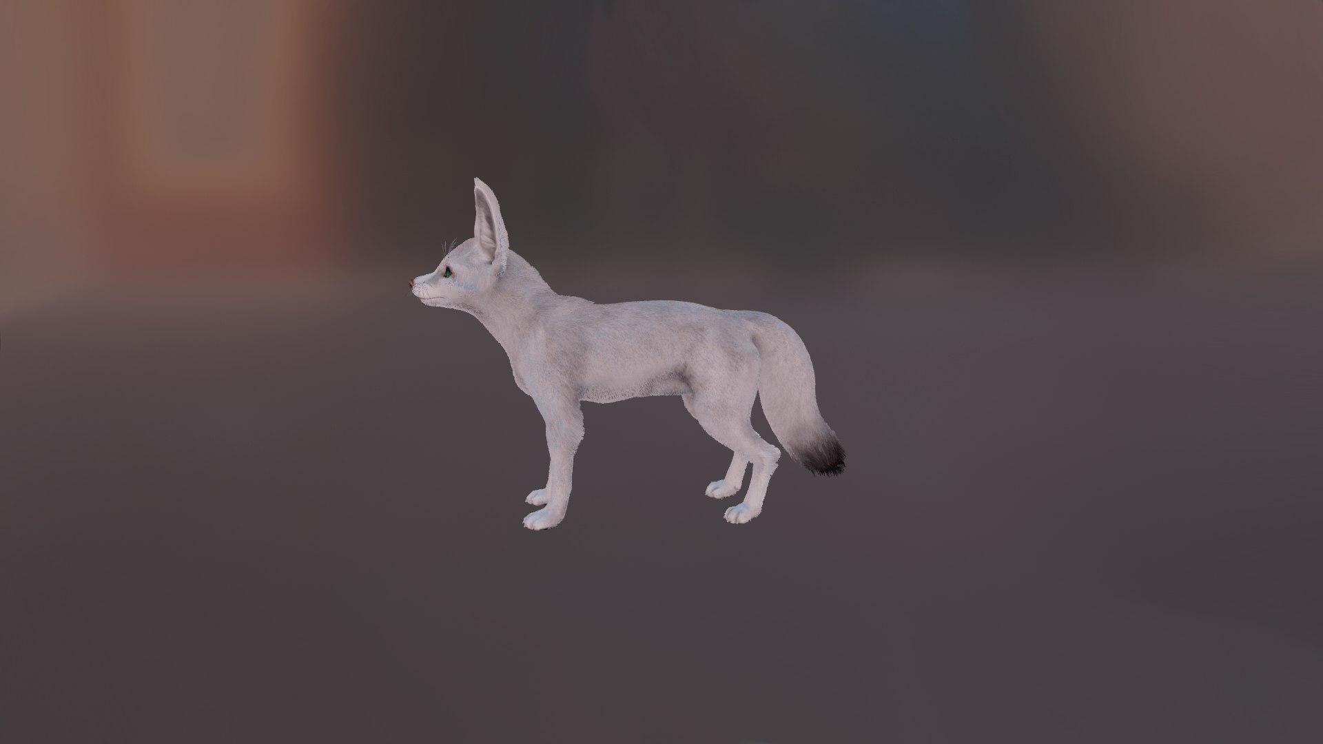 3D Fennec Fox Model - TurboSquid 1872571