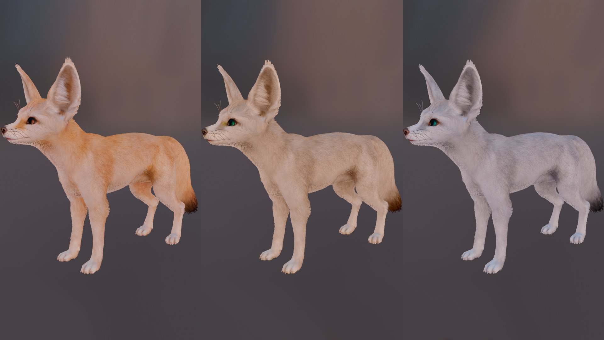 3D Fennec Fox Model - TurboSquid 1872571