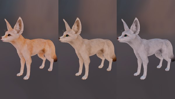 3D Fennec Fox model - TurboSquid 1872571